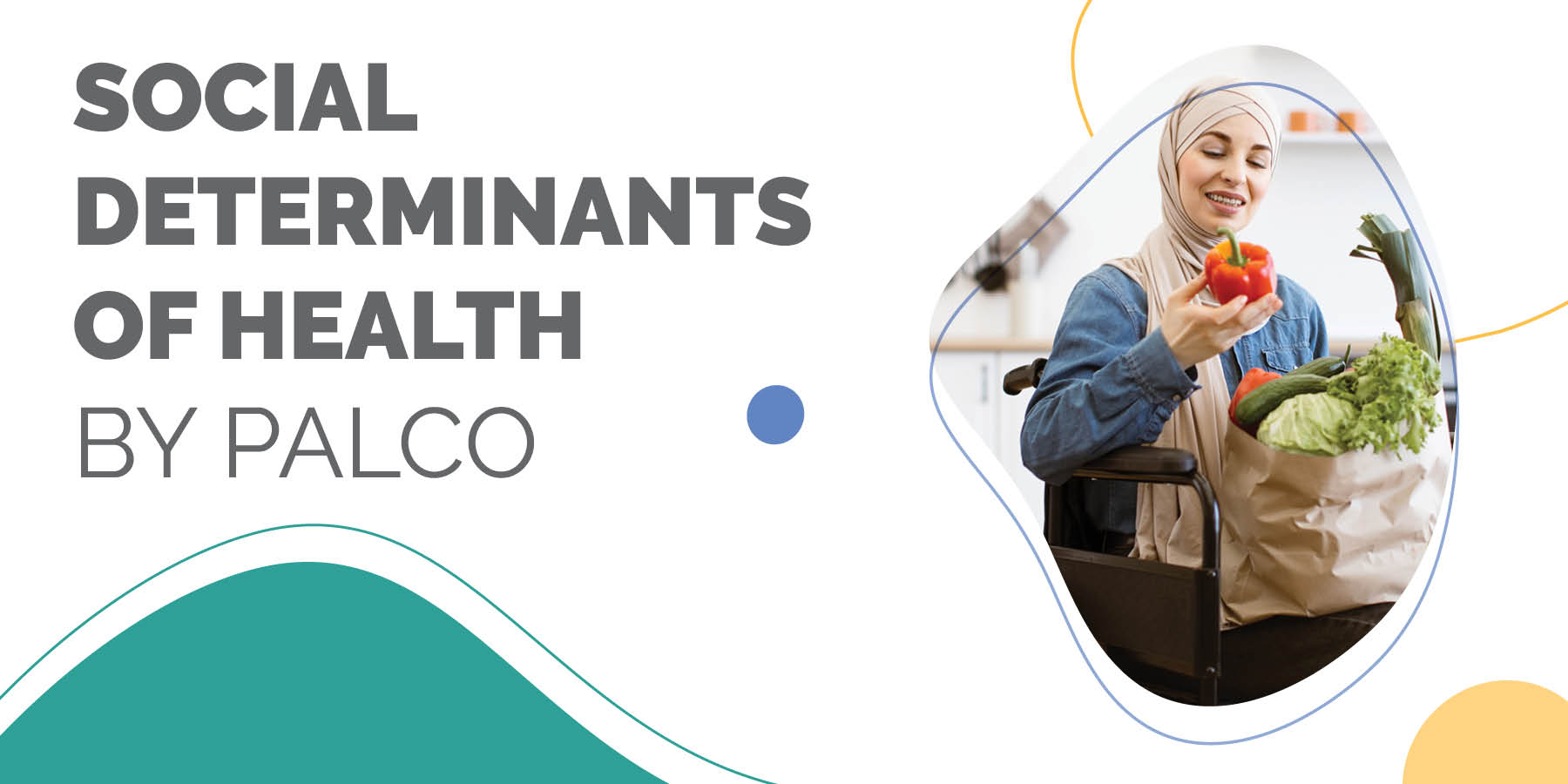 The Bigger Picture: An Overview of Social Determinants of Health (SDOH ...